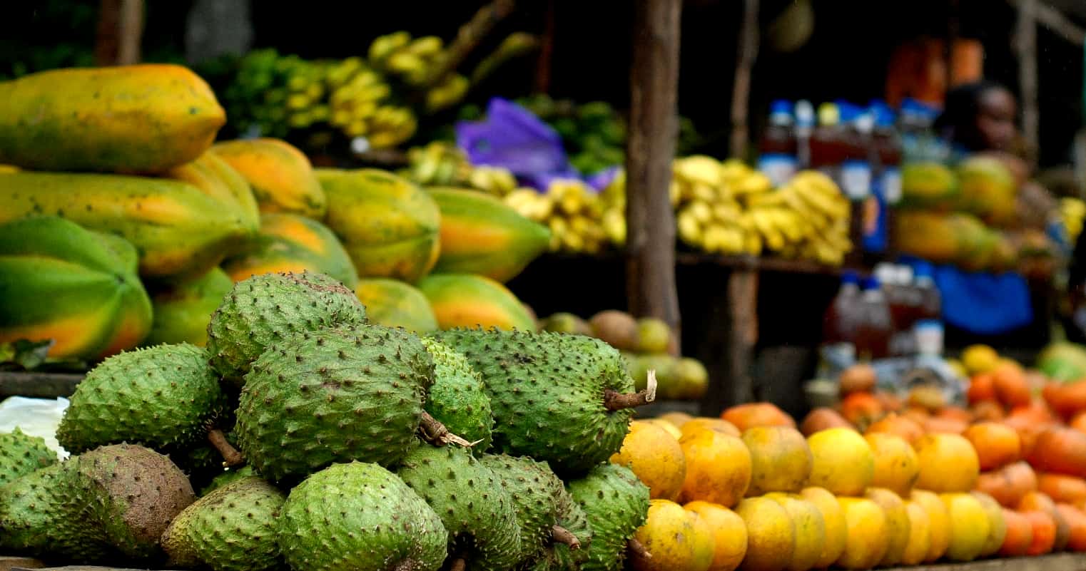 Field Guide to Fruit on Madagascar